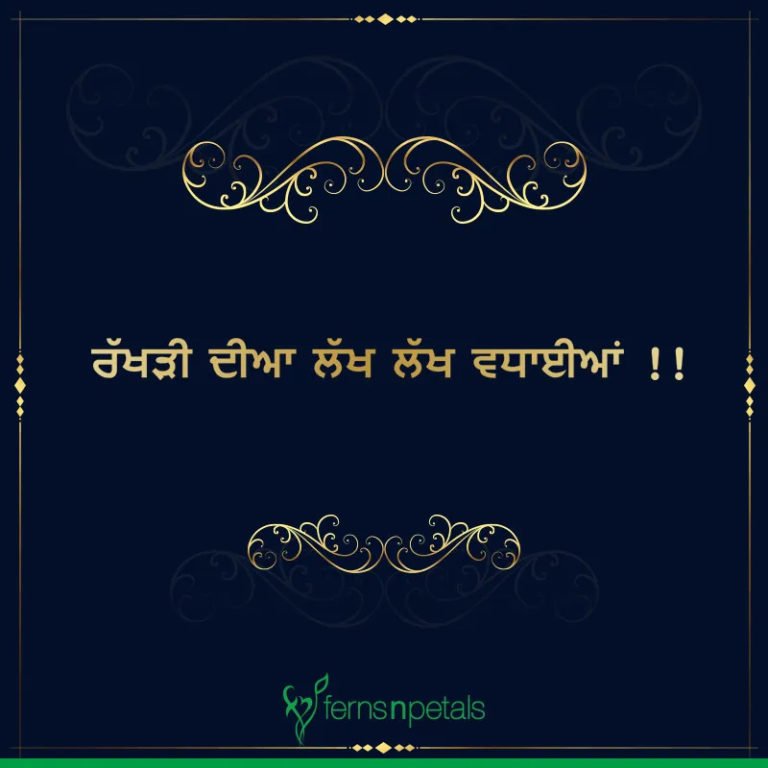 120+ Rakhadi/Raksha Bandhan Wishes & Messages in Punjabi With Images ...