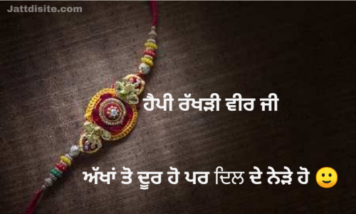 120+ Rakhadi/Raksha Bandhan Wishes & Messages in Punjabi With Images ...