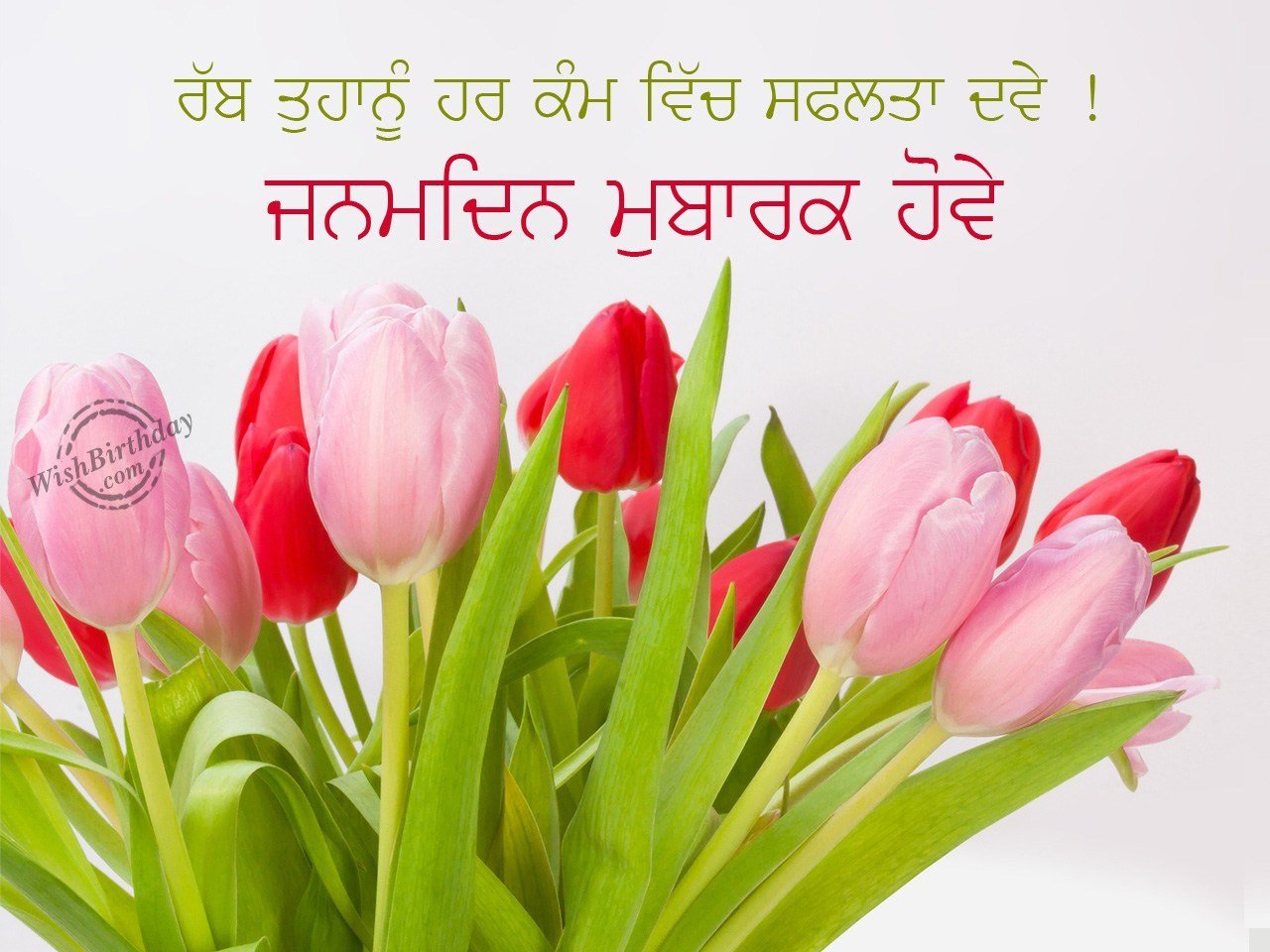 60+ Happy Birthday Wishes for Mother in Punjabi with Images - Punjabi ...